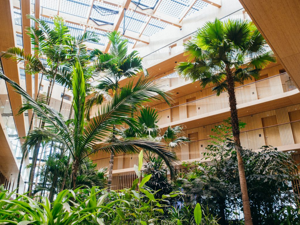 Kop van Java, Amsterdam - Groot Ecobouw